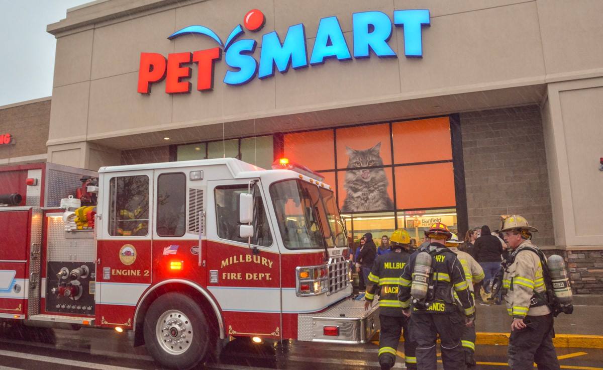Millbury PetSmart Evacuated After Electrical Fire | THE LAKE 940
